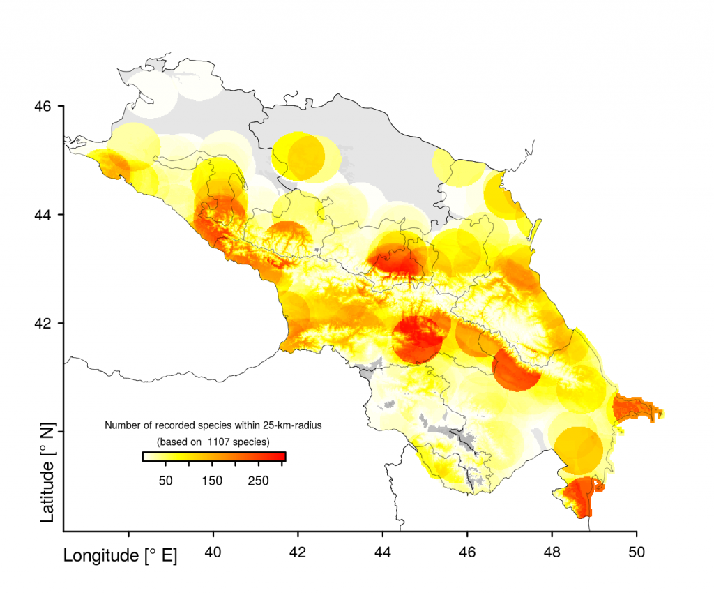 Spider Diversity Patterns | Caucasian Spiders